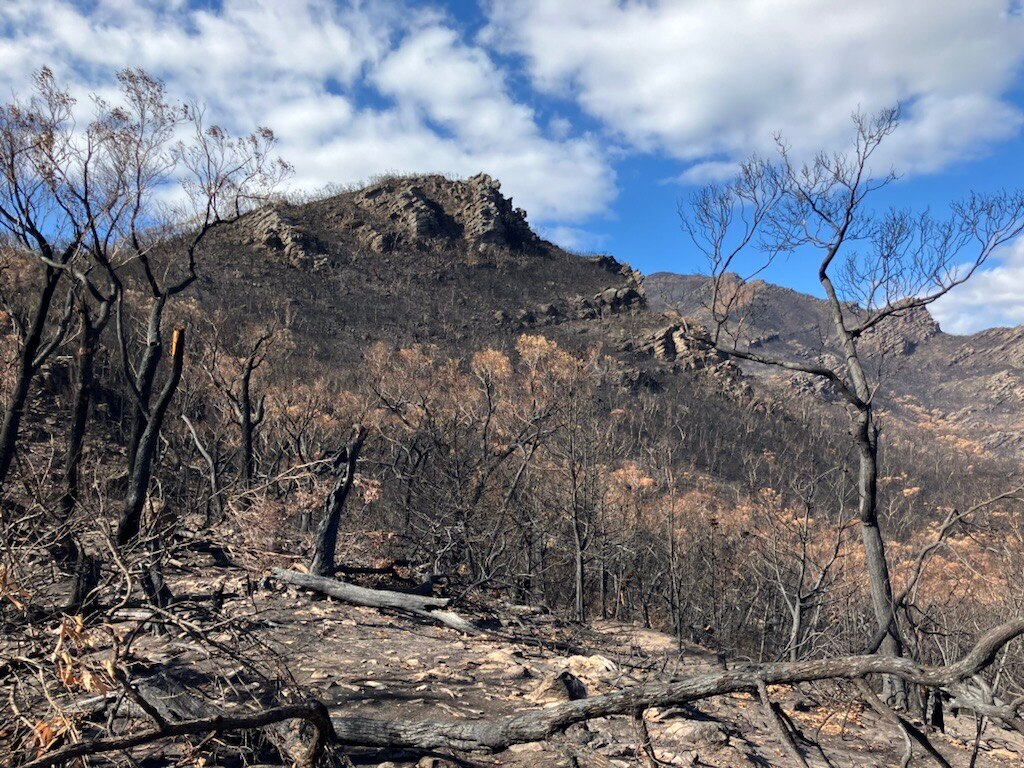 Firefighter fatigue and the mental and physical toll of prolonged ...