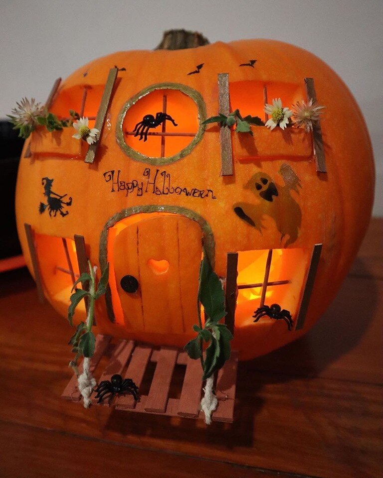 A special kind of pumpkin grown only for Halloween - ABC Newcastle