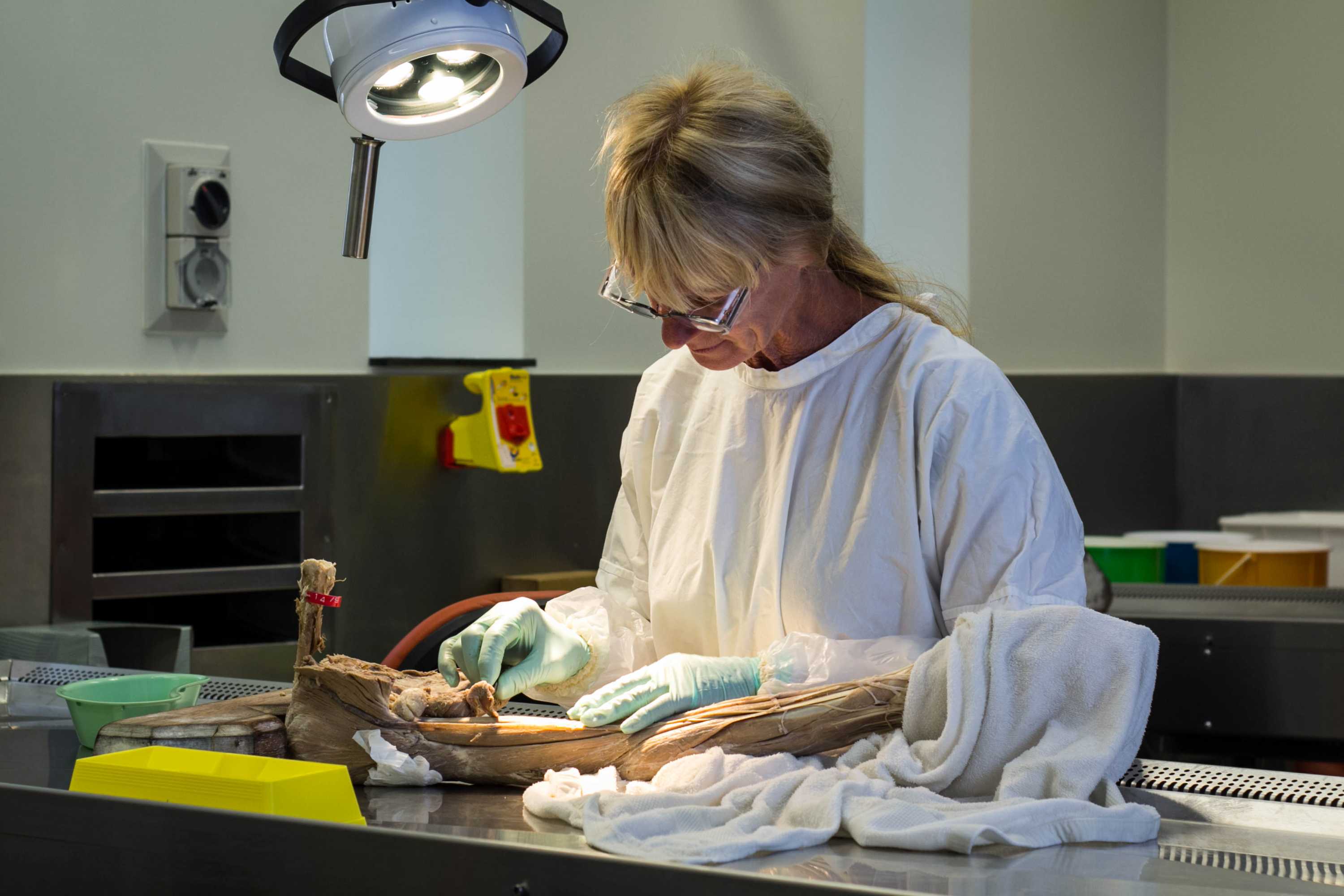 Parting gift: how body donations are helping the doctors of tomorrow ...