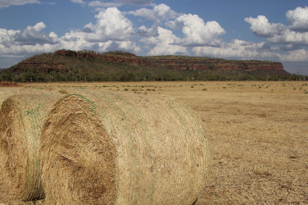 Is this the hay paddock with the best view in the Northern Territory ...