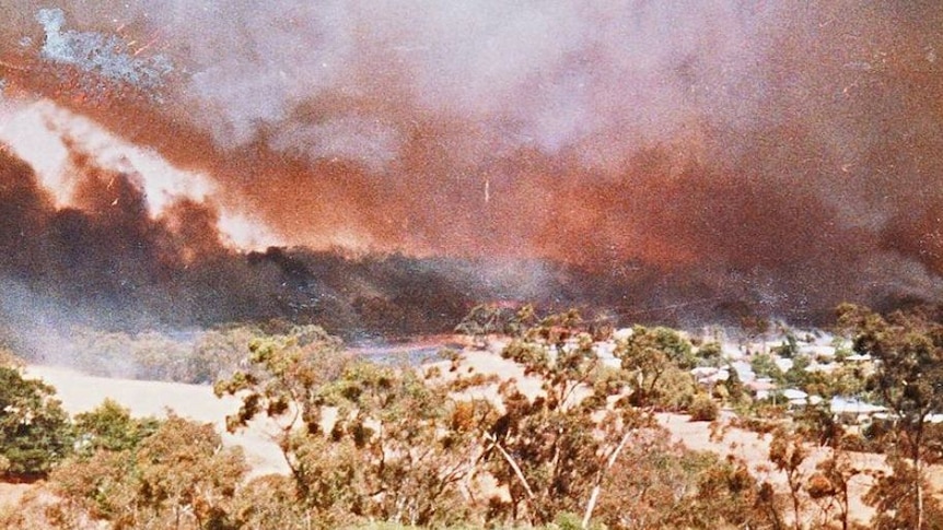 Ash Wednesday bushfires: February 16, 1983 - ABC News Ash Wednesday bushfires: February 16, 1983 - ABC News