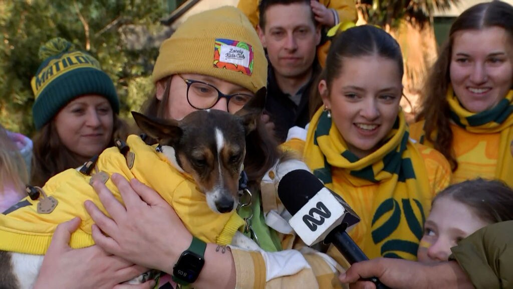 Matilda's support reaches fever pitch - ABC News