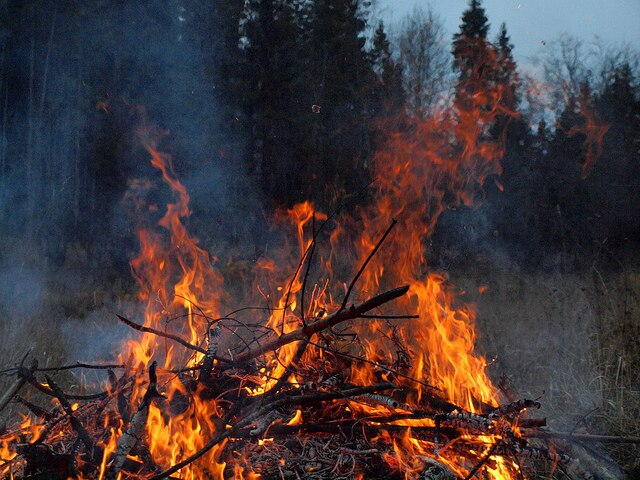 Learn English: Burn out and burn off - ABC Education