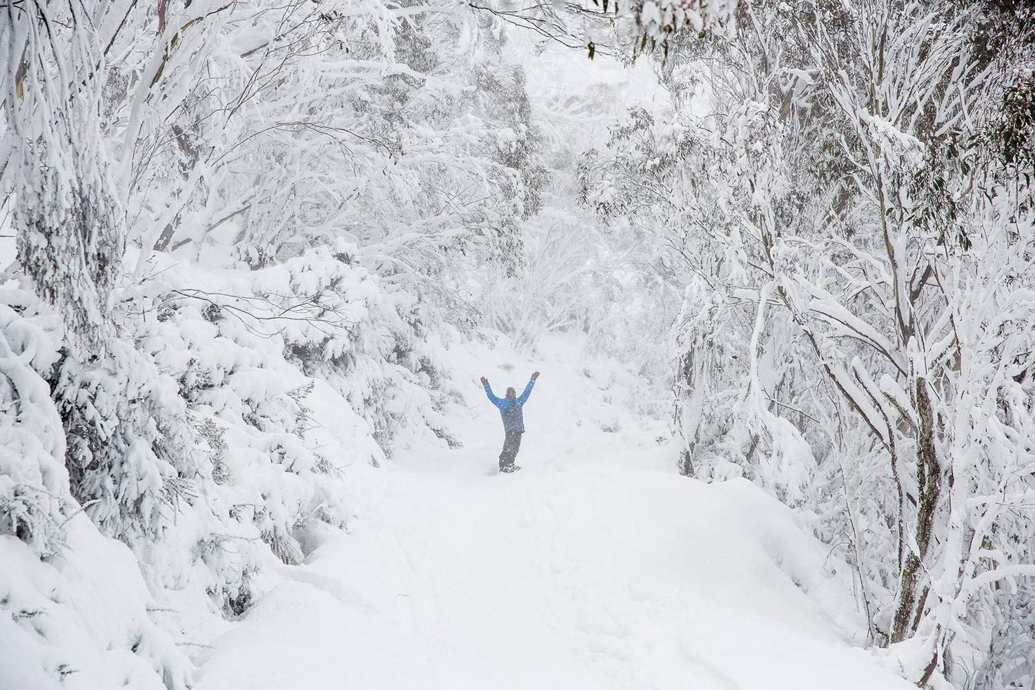 Australian snowfields rejoice after 'Blizzard of Oz' turns slopes into ...