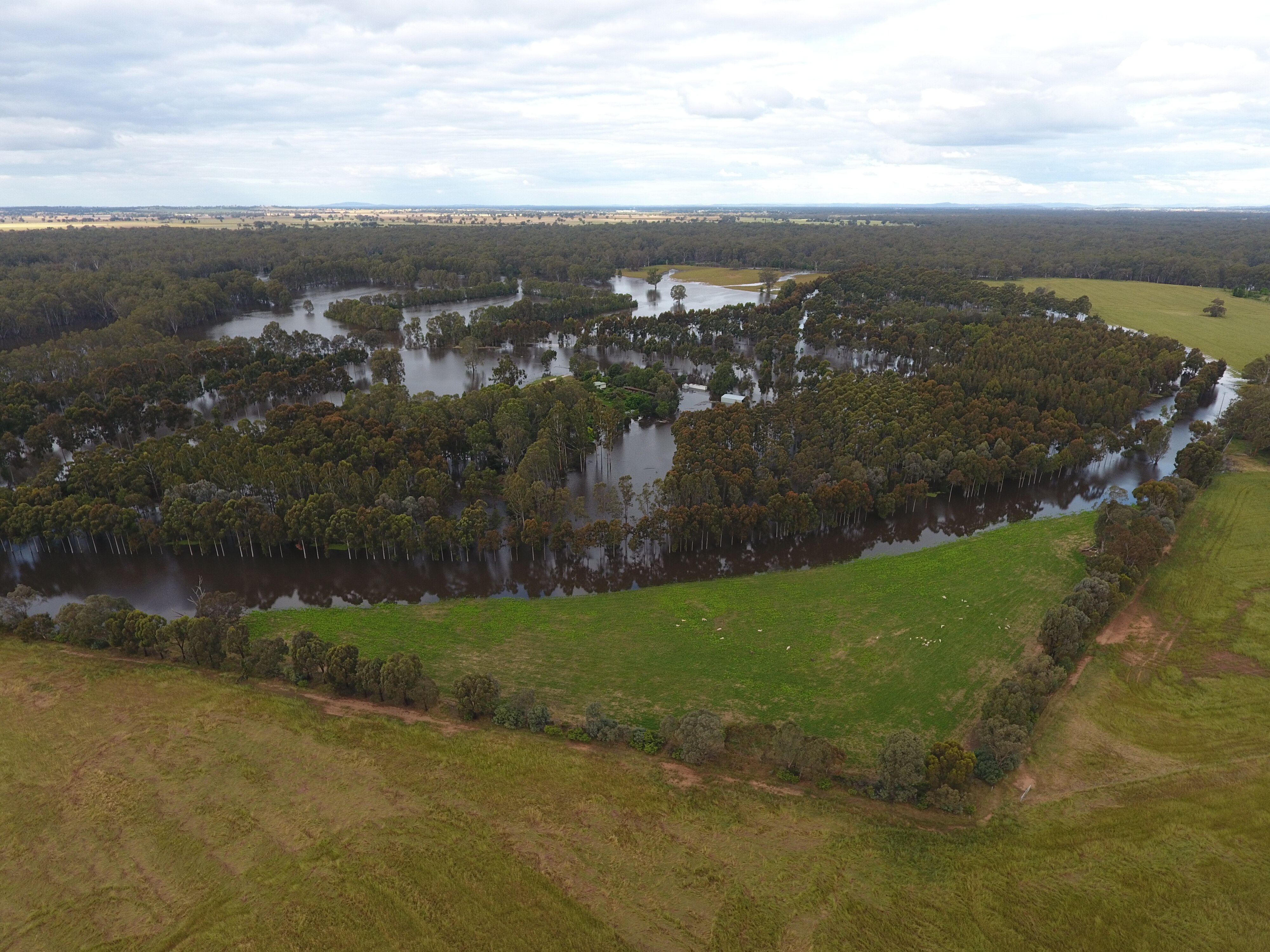 Farmers swap tractors for boats to access properties along flooded ...