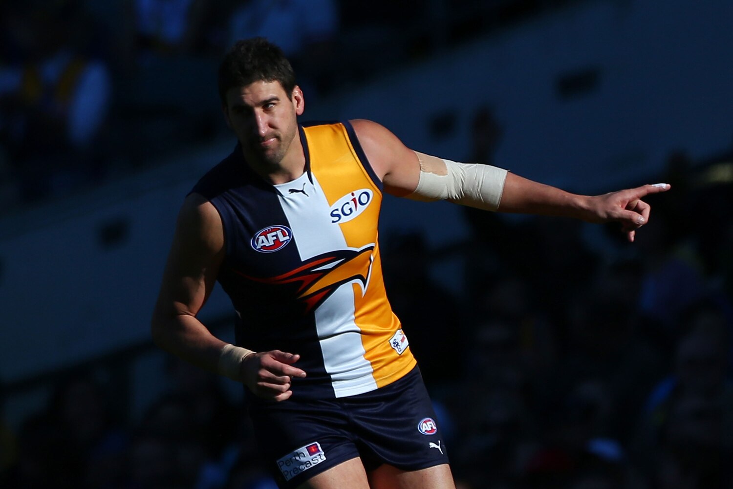 West Coast Eagles great Dean Cox to retire at end of AFL season - ABC News