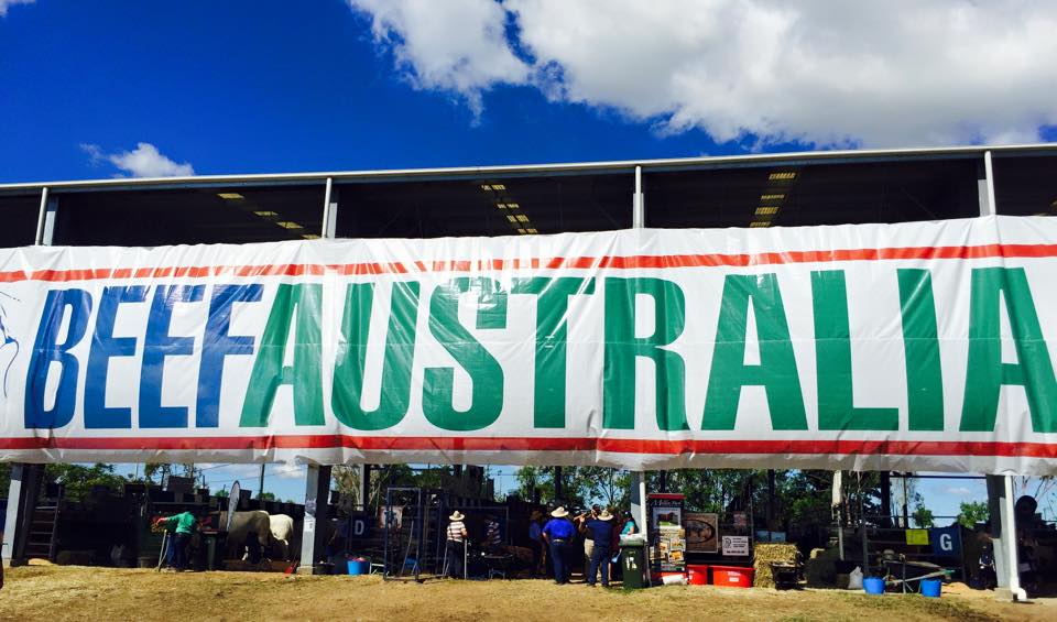 Organisers claim big success at Rockhampton beef expo - ABC News