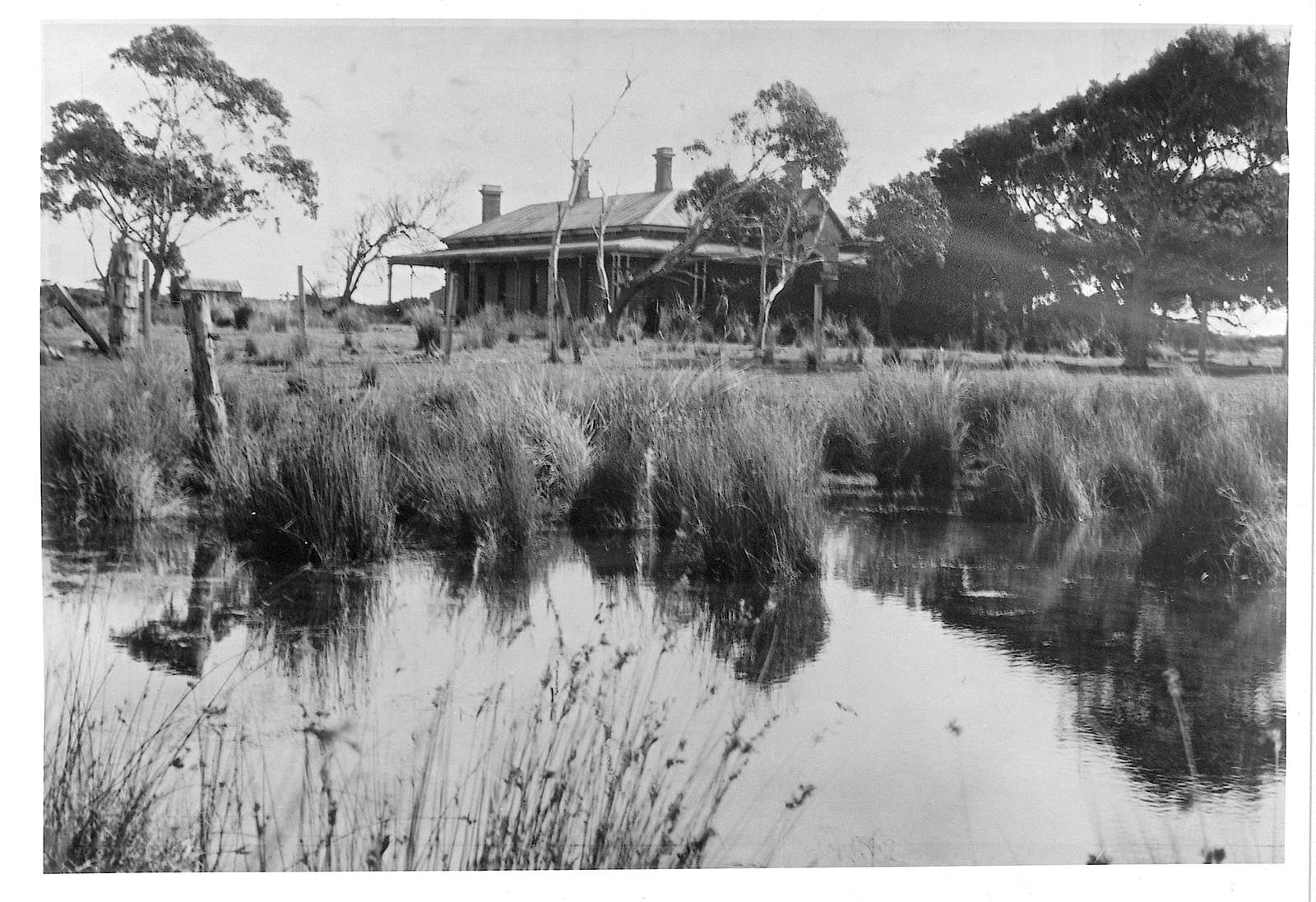 The lady of the swamp - ABC listen