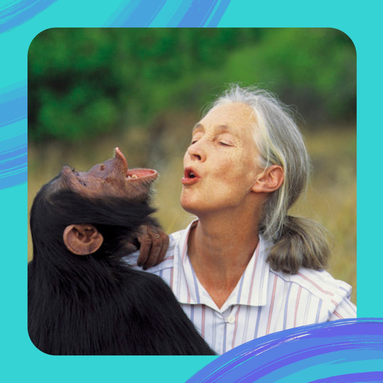 What caring for the dying taught Bronnie Ware about living - ABC listen