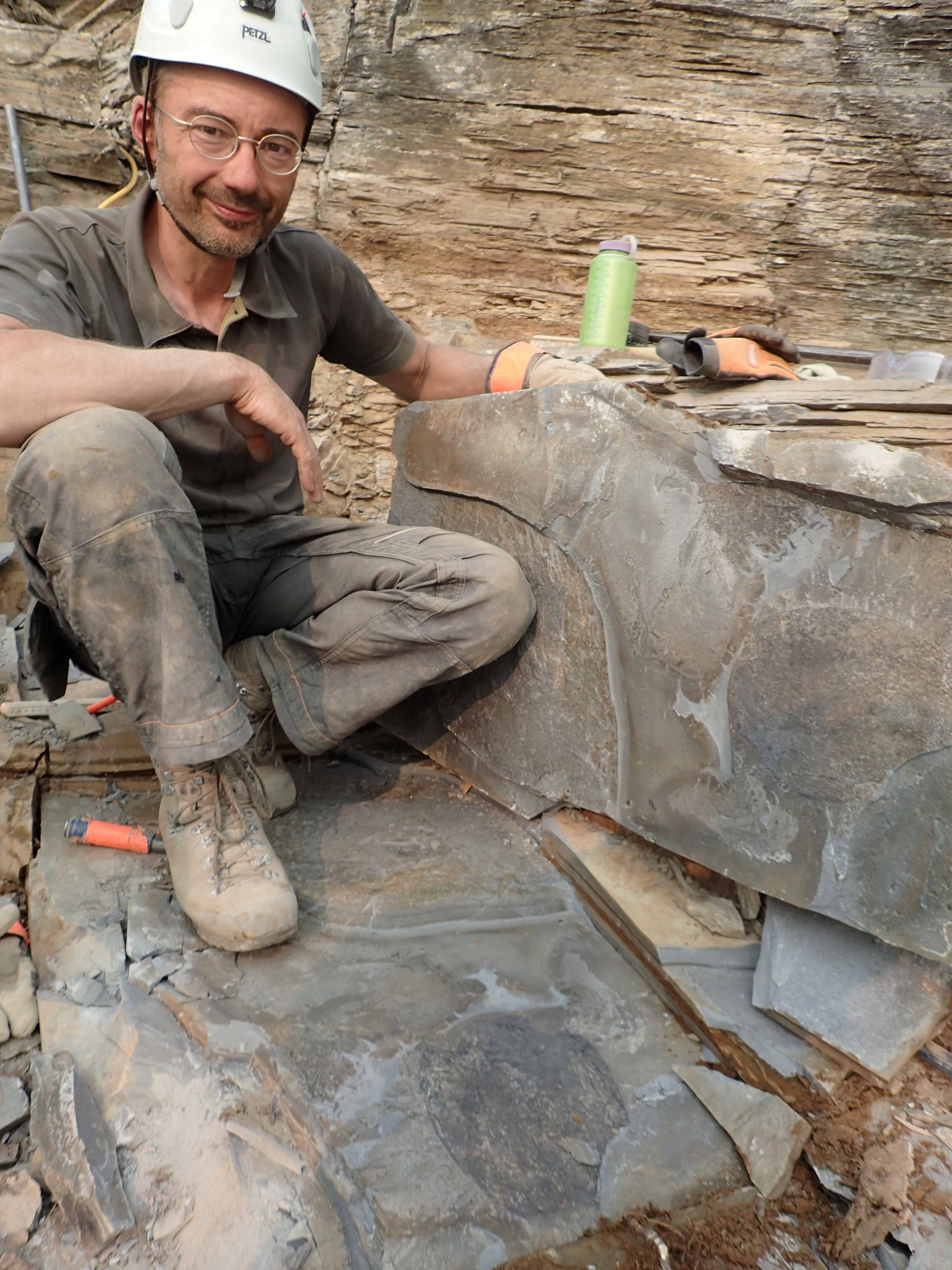 Canadian scientists unveil Titanokorys gainesi, a giant arthropod that ...