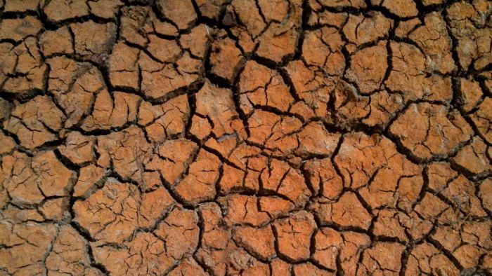 New South Wales farmers warned of hot, dry summer ahead - ABC News