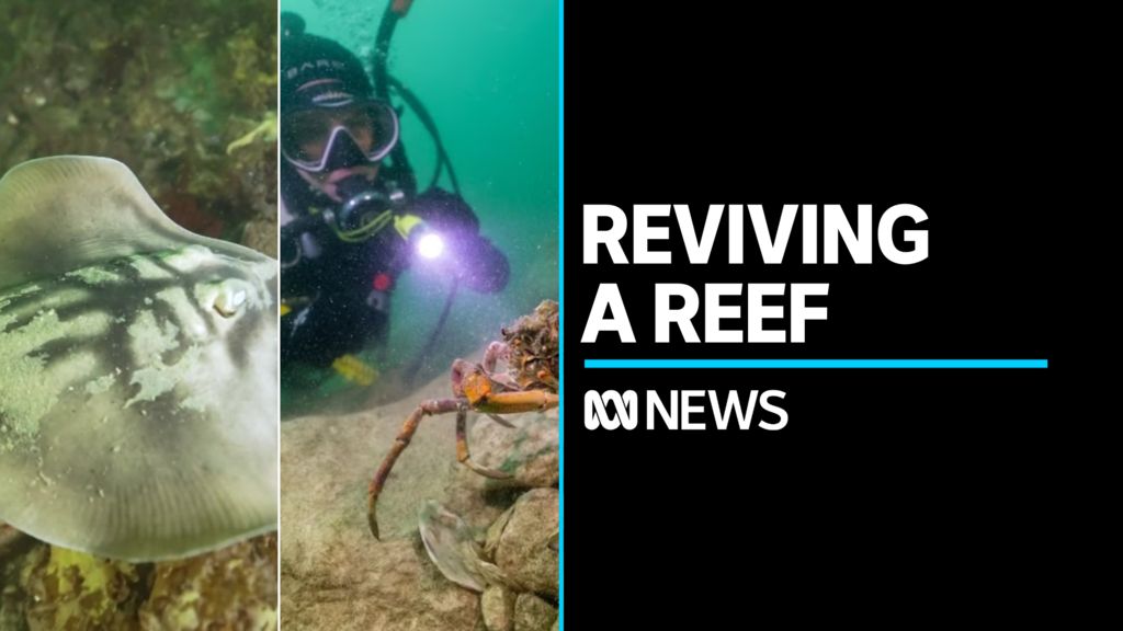 Aftermath of Cyclone Mocha in western Myanmar's Rakhine State - ABC News