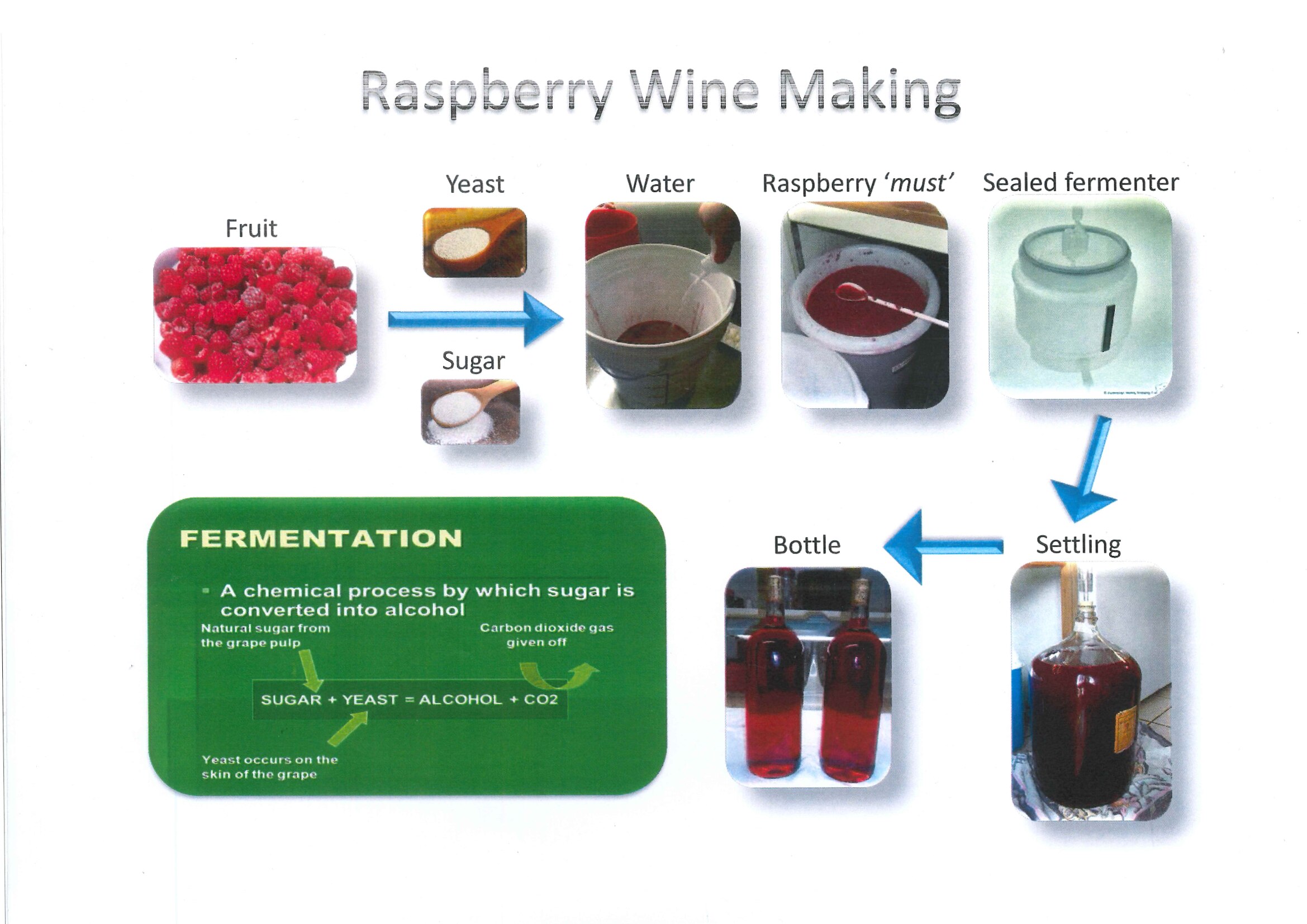 Foodie Tuesday: Homemade wines - ABC Melbourne