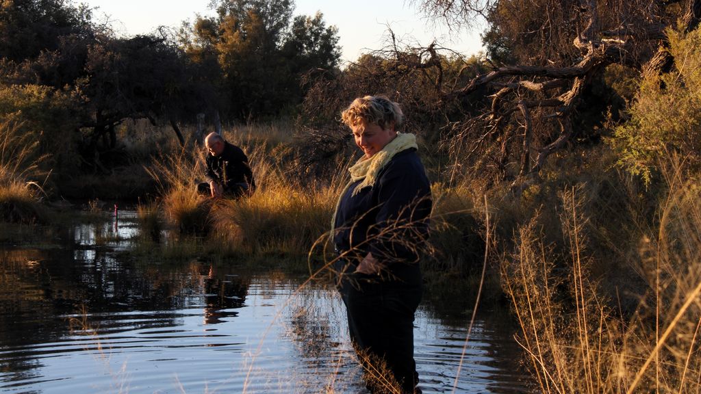 QLD - Location - ABC News