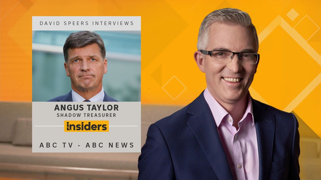 Shadow Treasurer Angus Taylor - ABC News