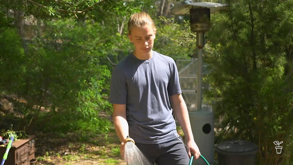 No Dig from Scratch - Gardening Australia