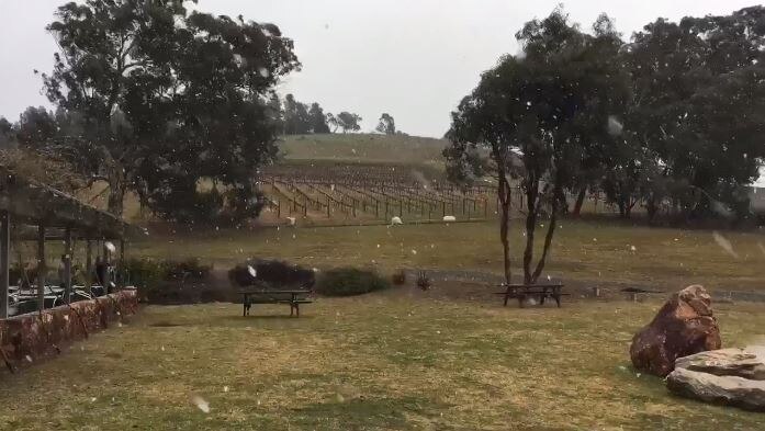 Canberra experiences freezing day, snow spotted falling across city ...