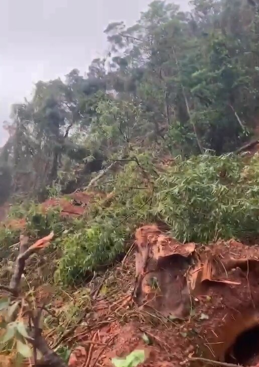 Daintree flood damage - ABC News