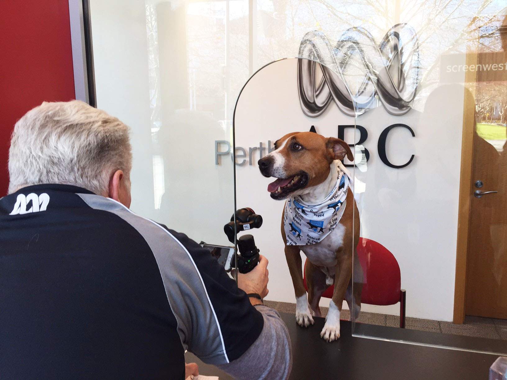 Here’s how you can adopt a couple of the stars from our ABC Radio spot ...