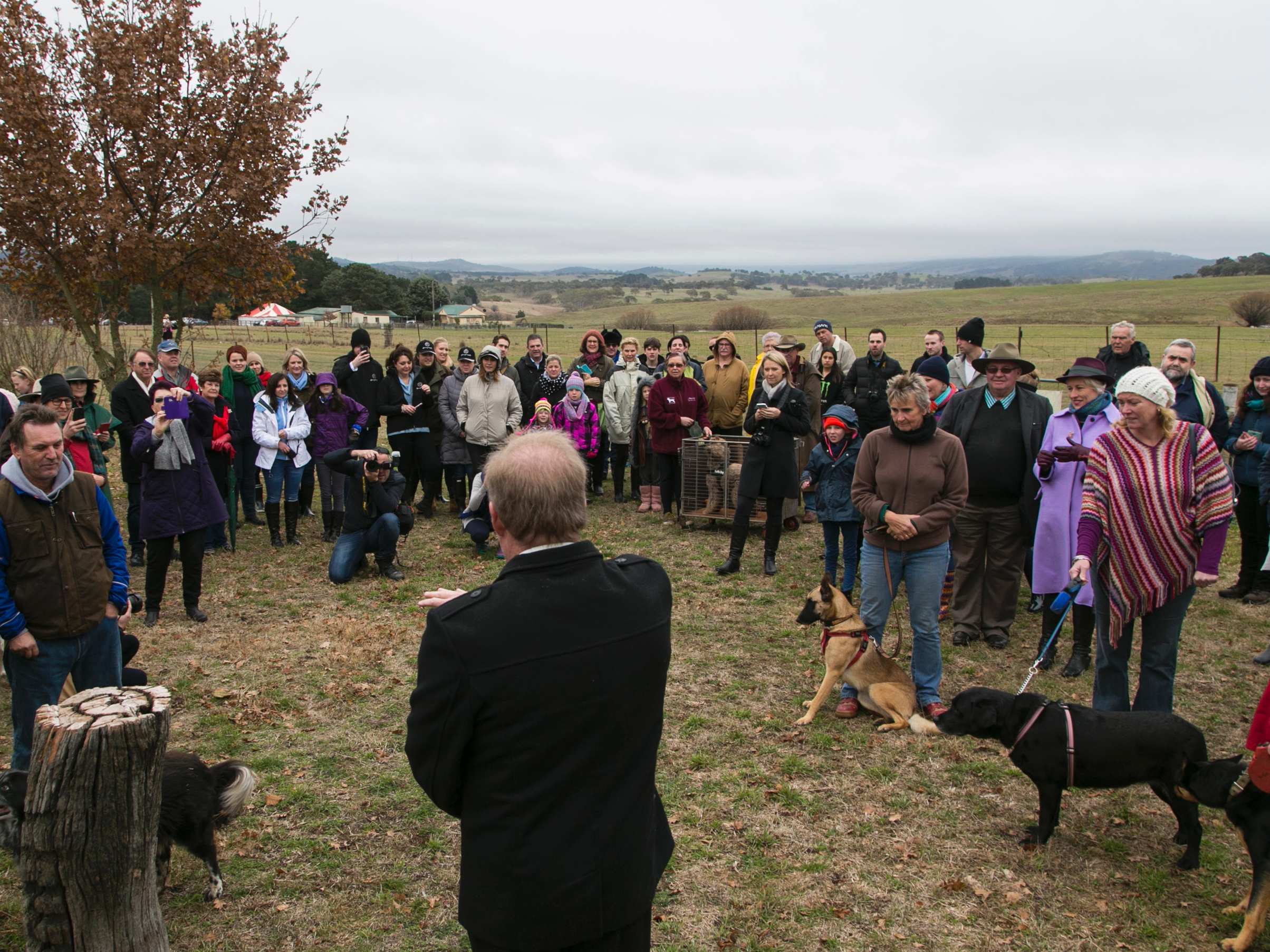 Kim Lester - ABC News