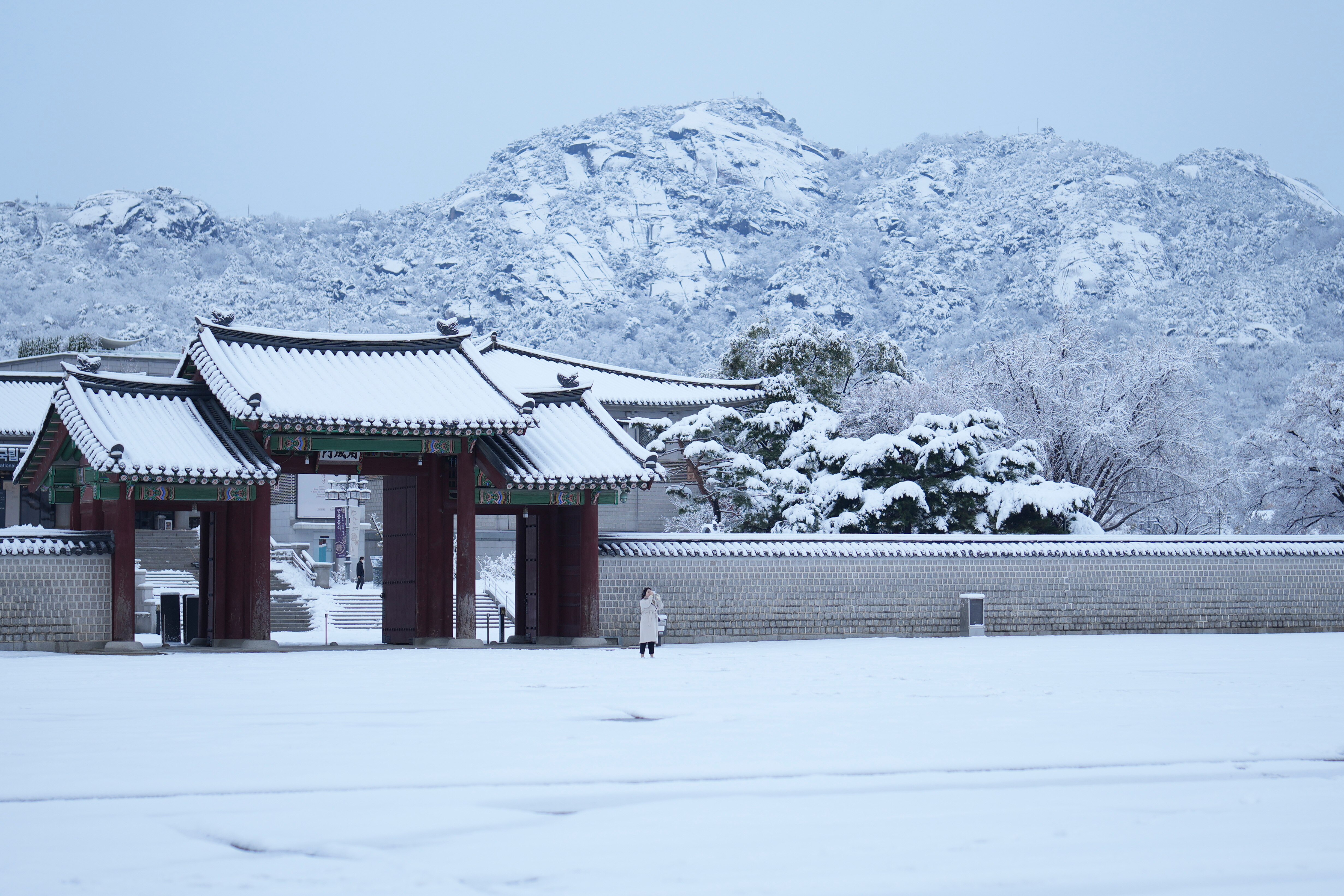 Seoul coated in snow during heaviest November storm in South Korea in ...