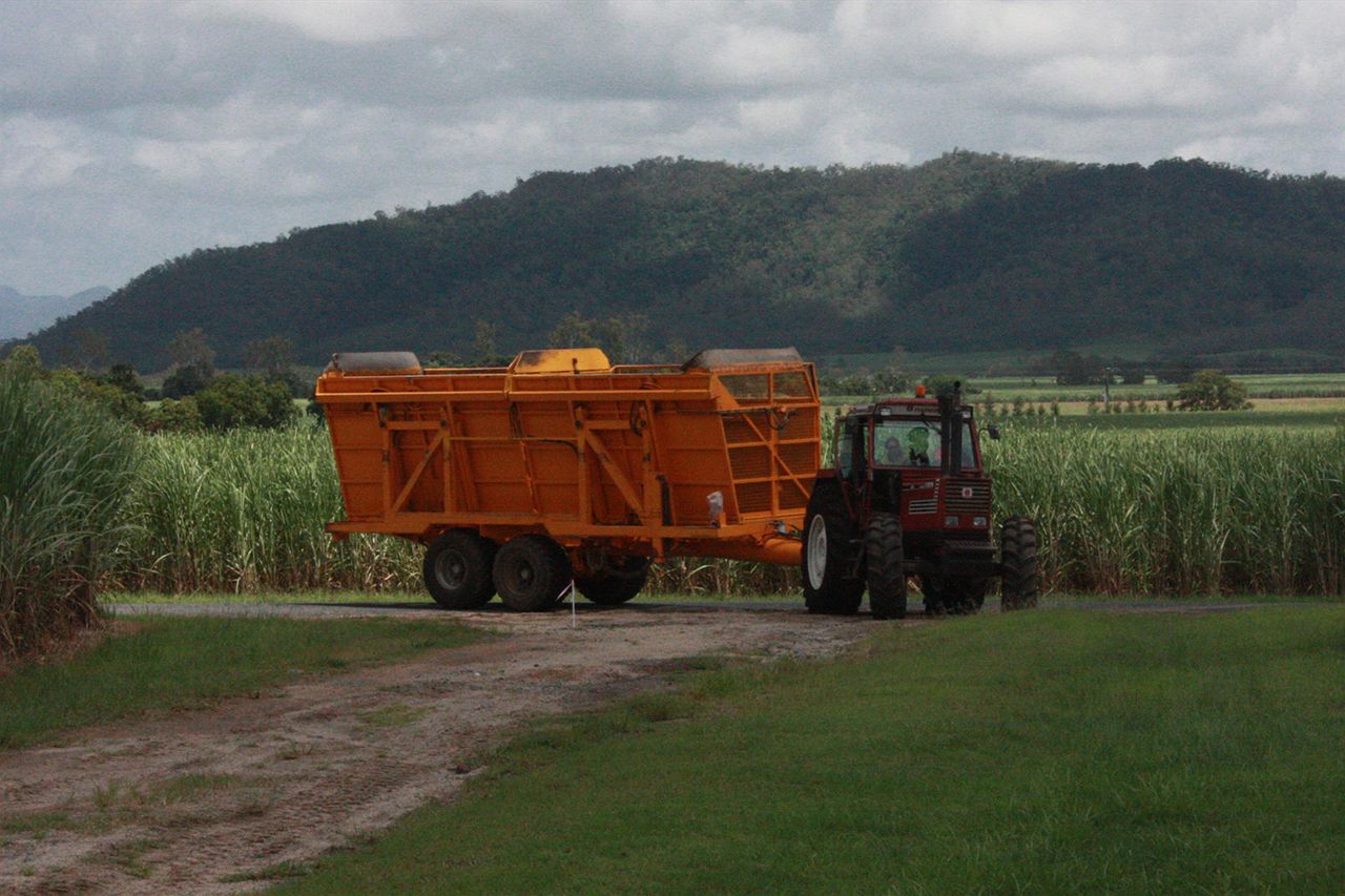 Training haul-out drivers for sugar harvest - ABC News
