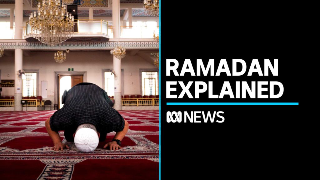 Footage shows the python swallowing a wallaby in far north Queensland ...