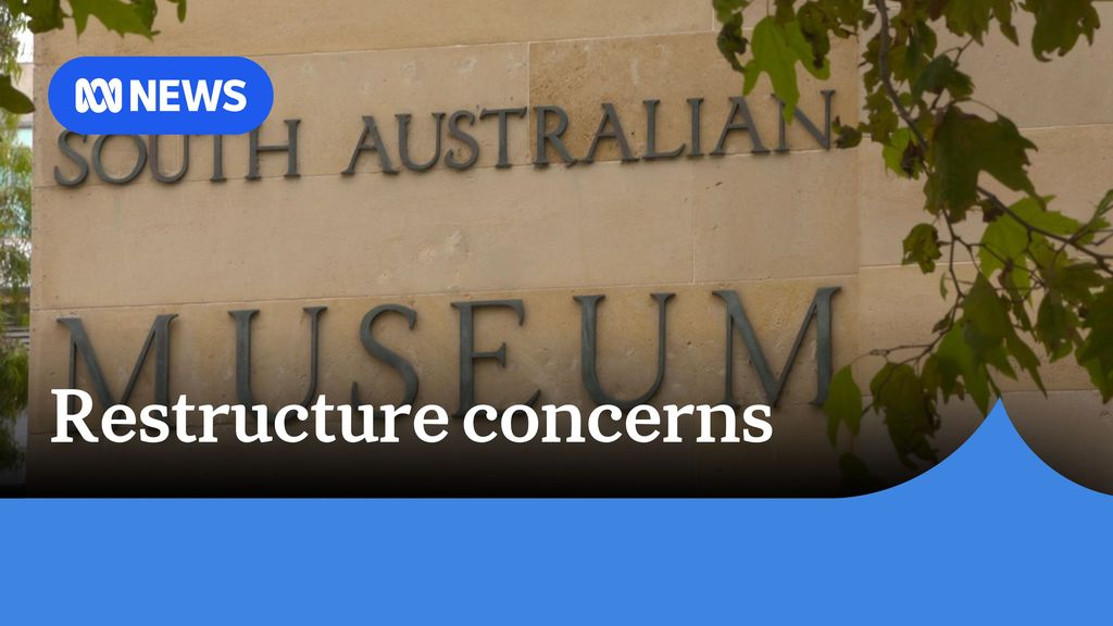 Major donor to South Australian Museum says million-dollar gift ...