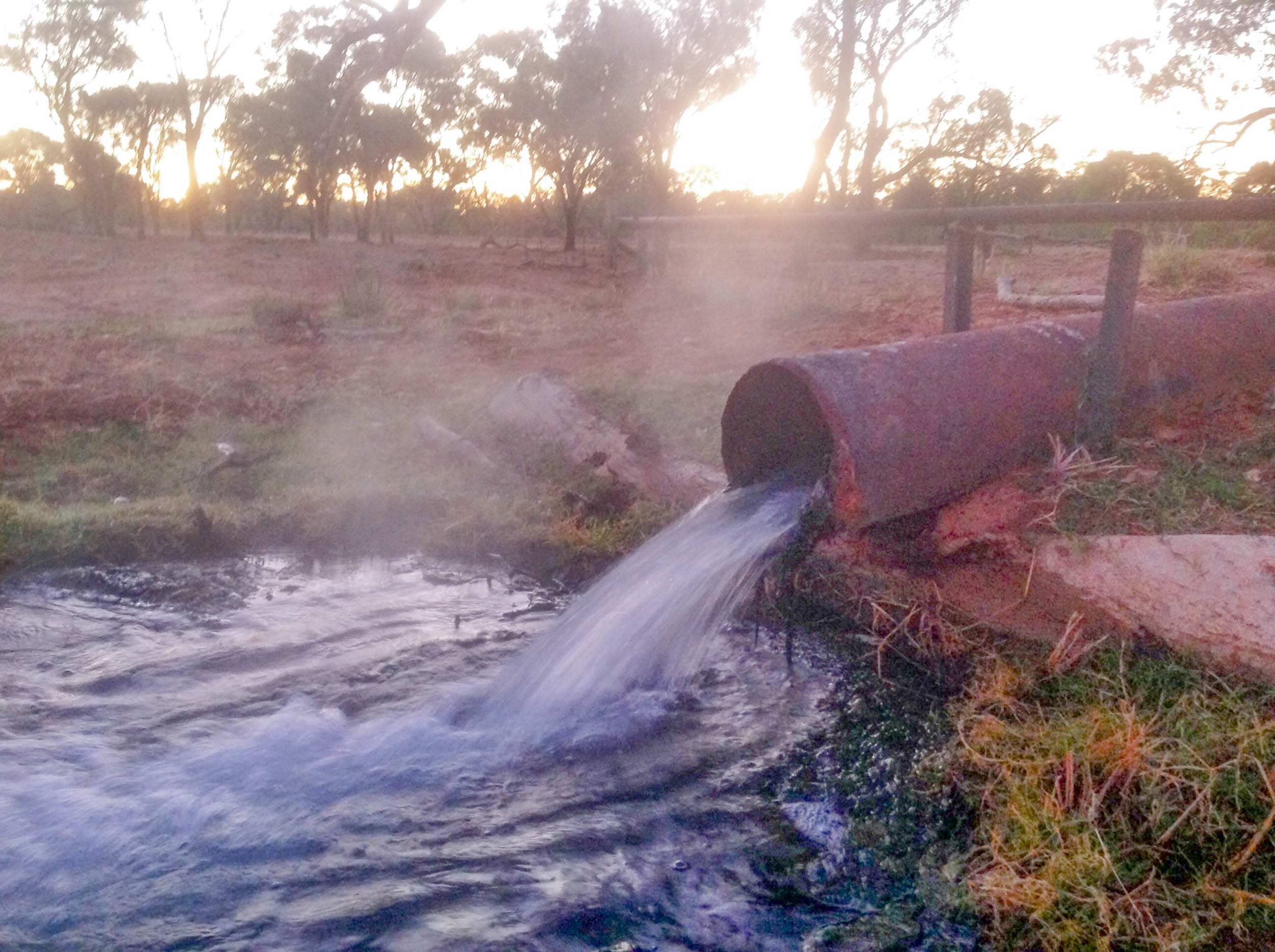 Scrapping of Government bore capping scheme wasting millions of litres ...