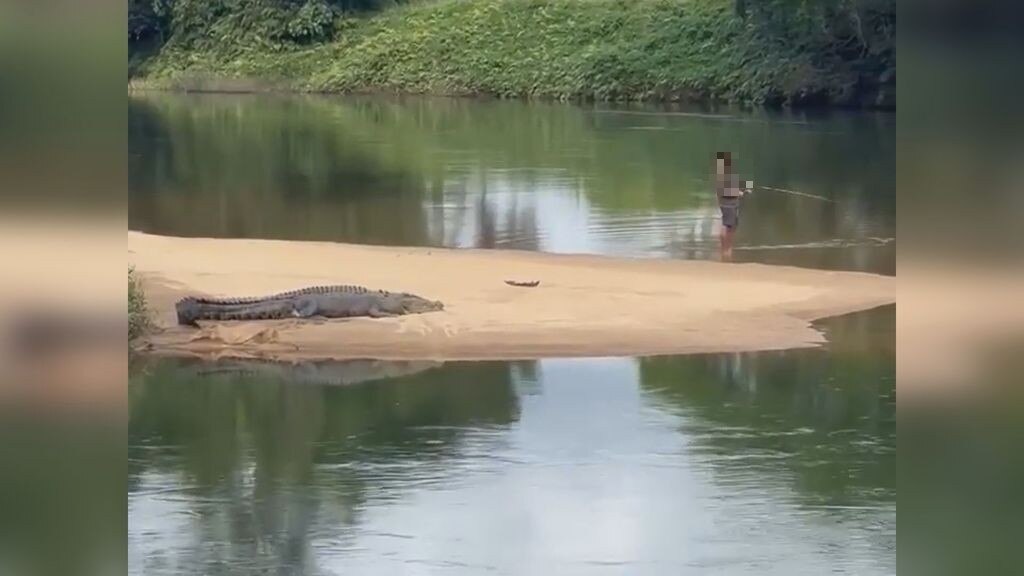 Nile Crocodile Attack Videos