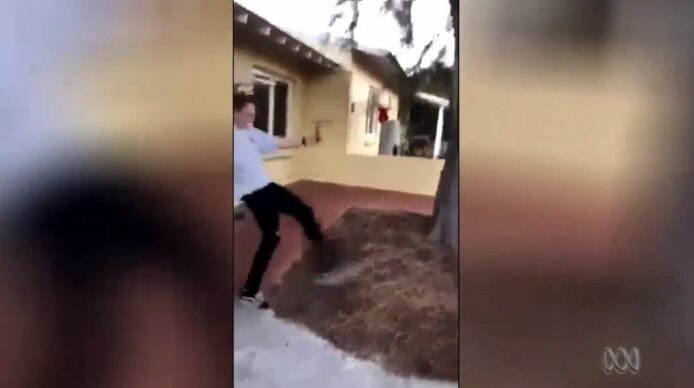 Quokka attack: Harrison McPherson fined for kicking animal on Rottnest ...