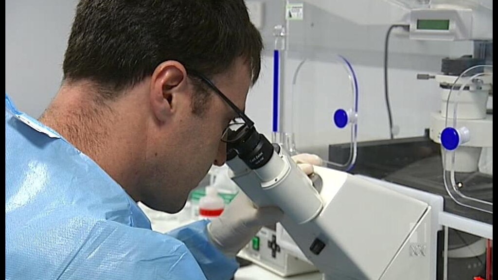 Scientists work to unlock micro mysteries - ABC News