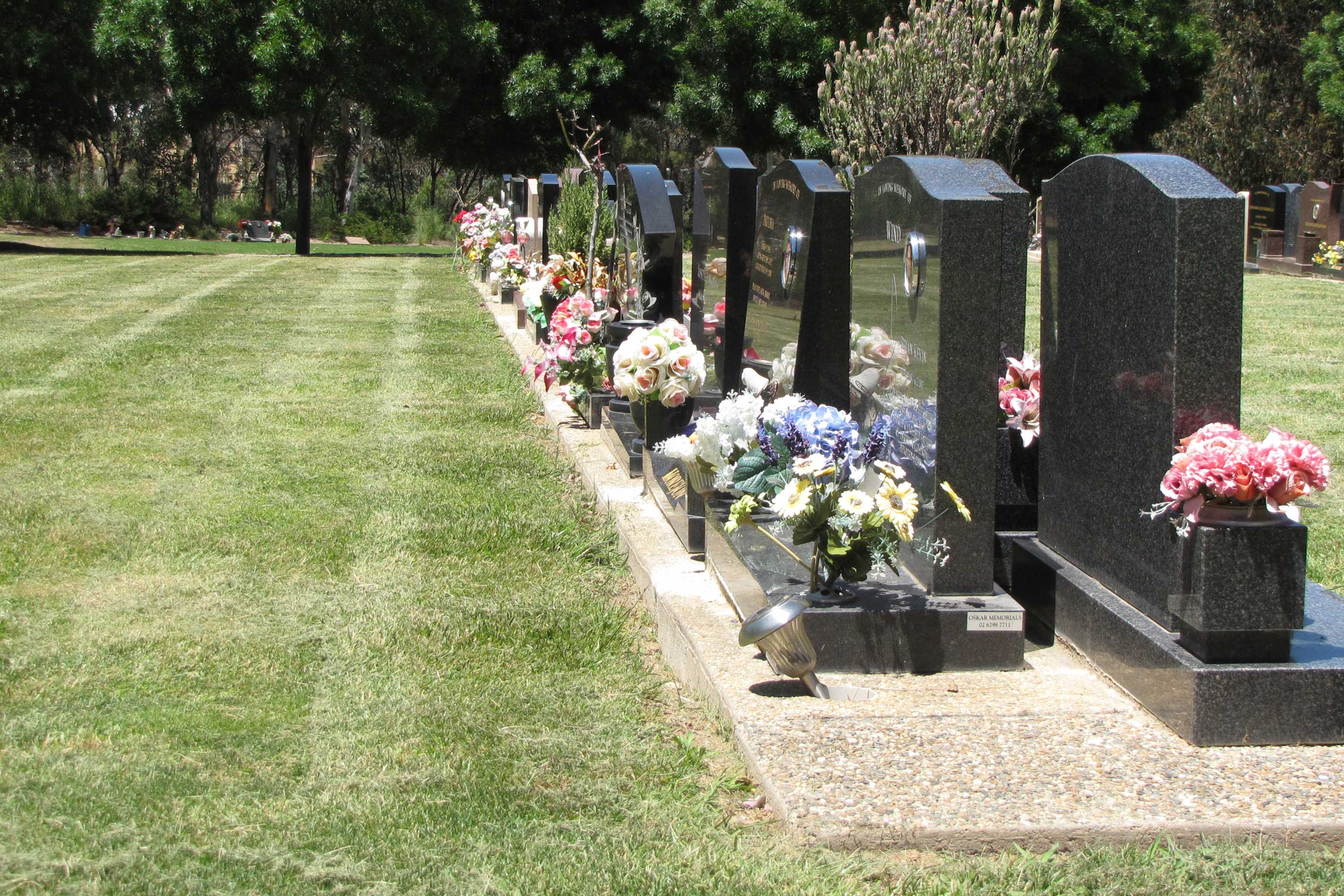 How many births and deaths are there in Canberra on an average day ...