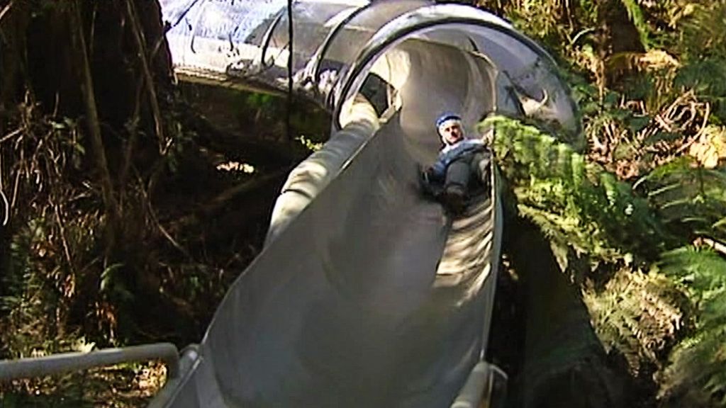 ABC News report from 2004 on the opening of Dismal Swamp. - ABC News