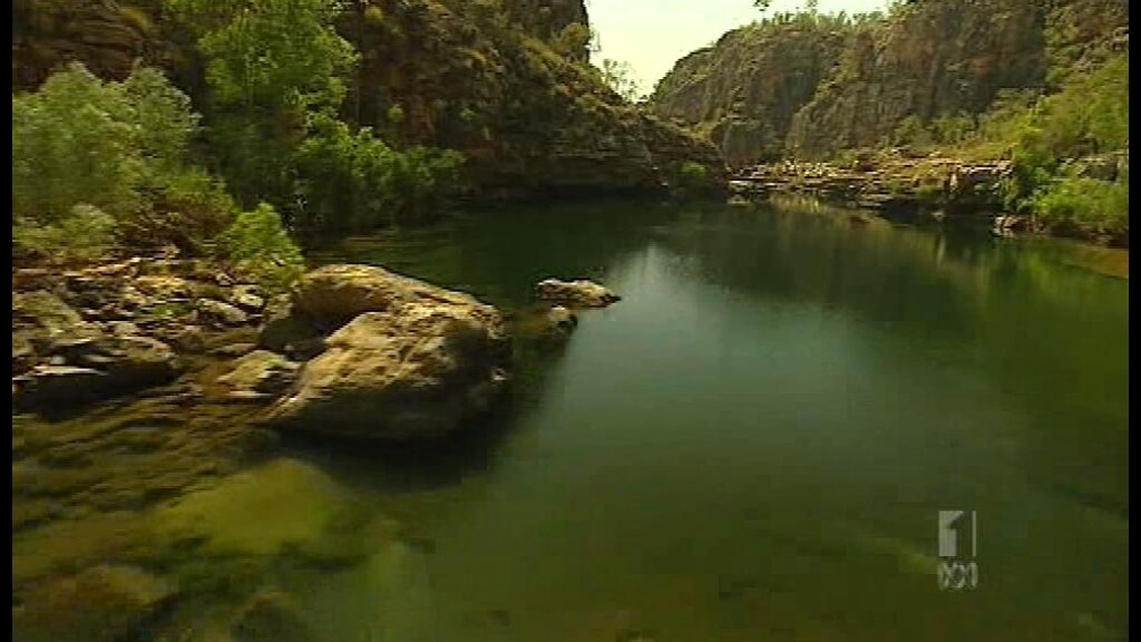 Foreign Invaders - ABC News