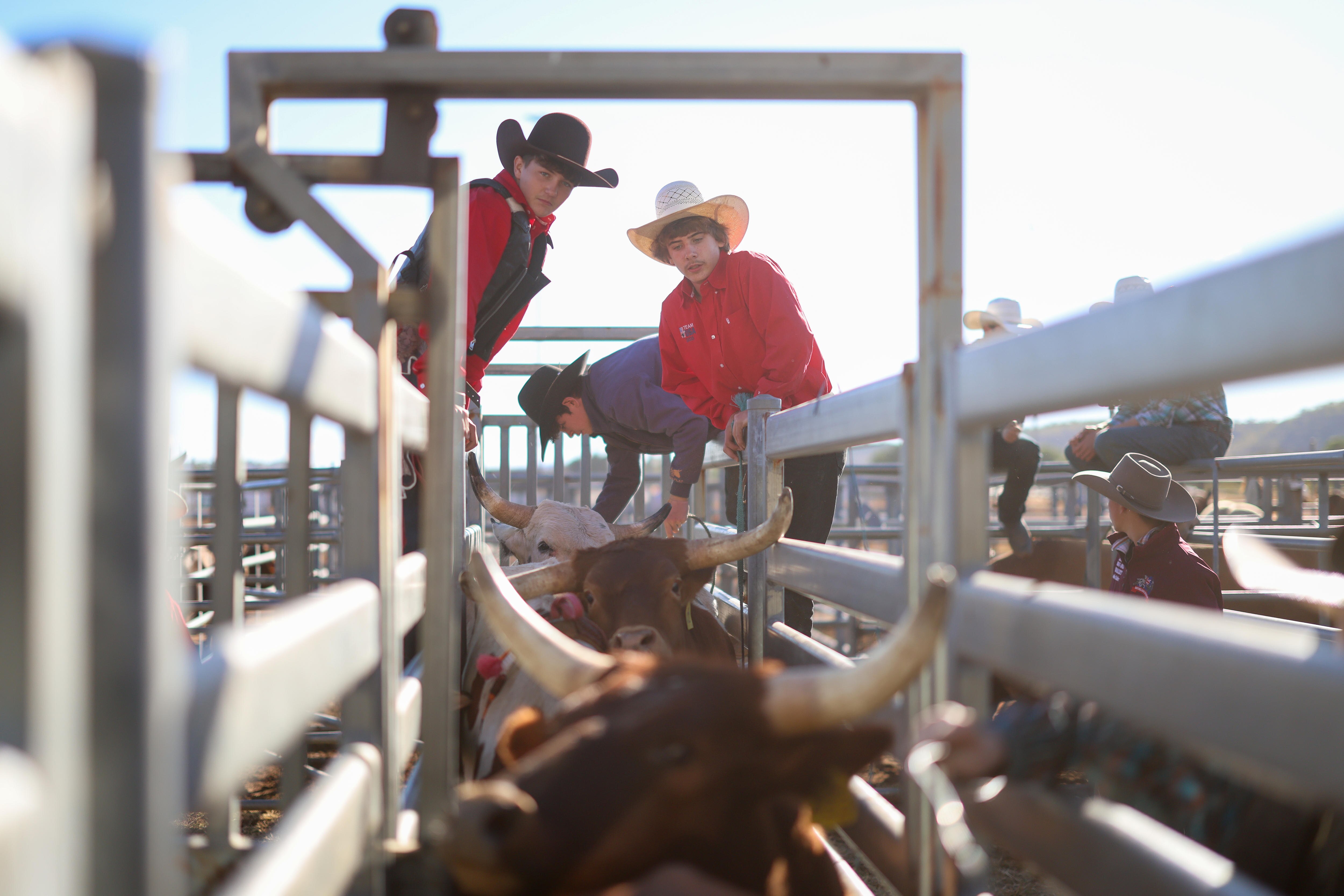 Mount Isa Rodeo revived by locals after falling into voluntary ...