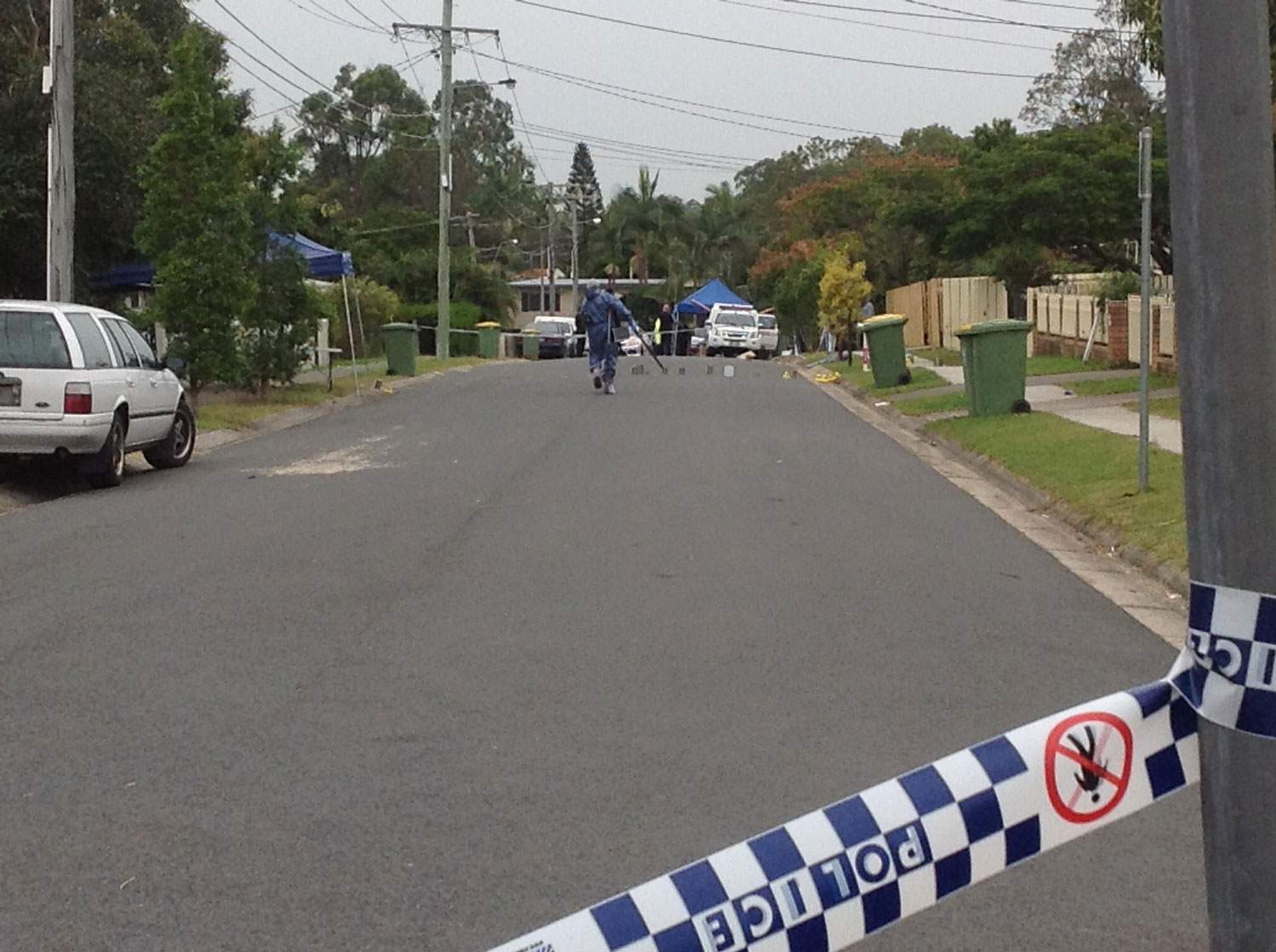 18yo man charged over rape and murder of pregnant woman Joan Ryther ...