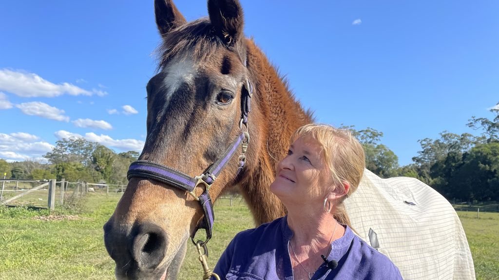 Danny believed to be the oldest living thoroughbred in Australia - ABC News