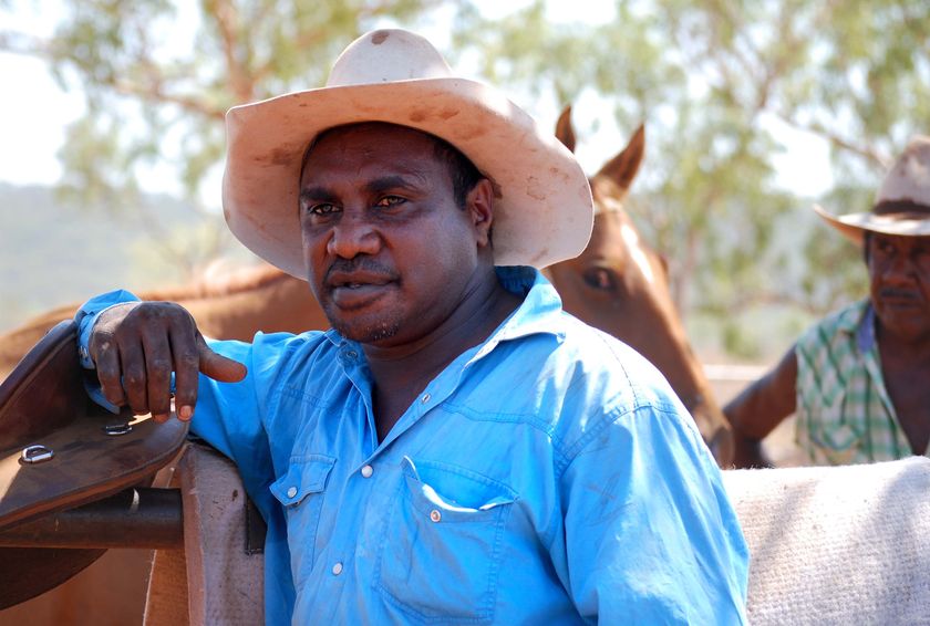 Indigenous people return to NT cattle industry - ABC Radio