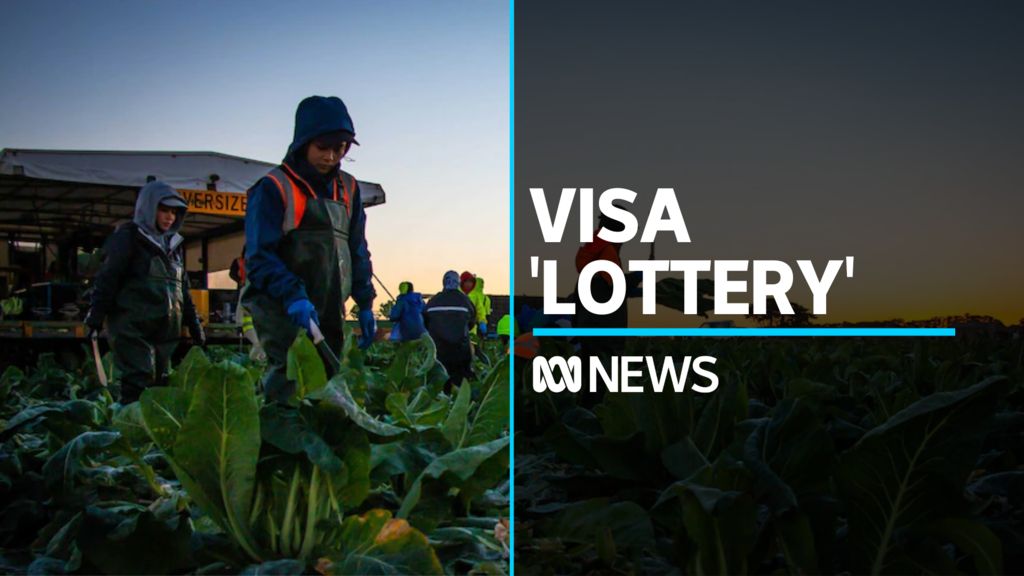 Immigration - Topic - ABC News