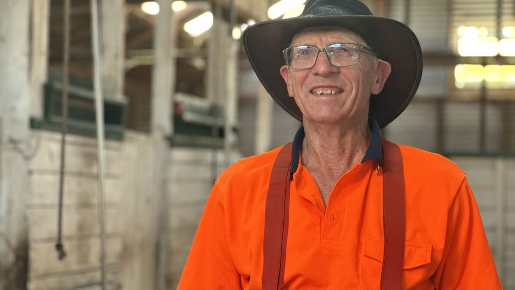 Former shearer Robin Rogers now makes a living dealing with what's ...
