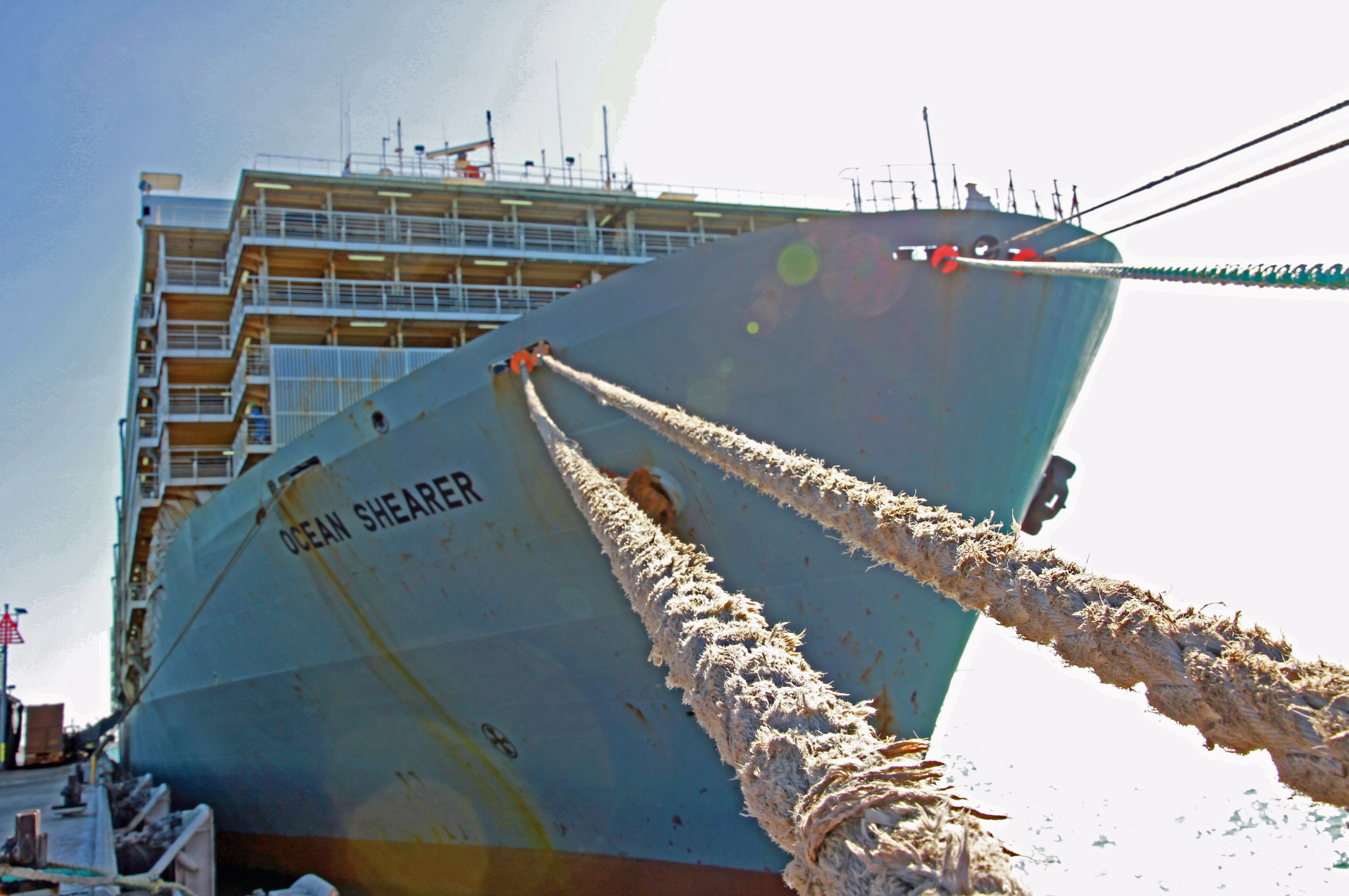Broome port ends year on a high, after cattle export disruption - ABC News
