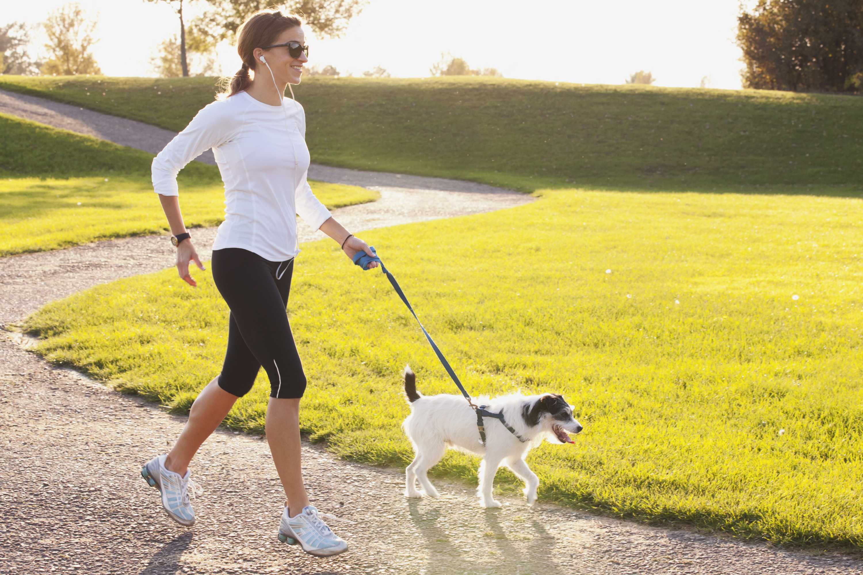Health & Fitness with Professor Gordon Lynch - Can Exercise Boost ...