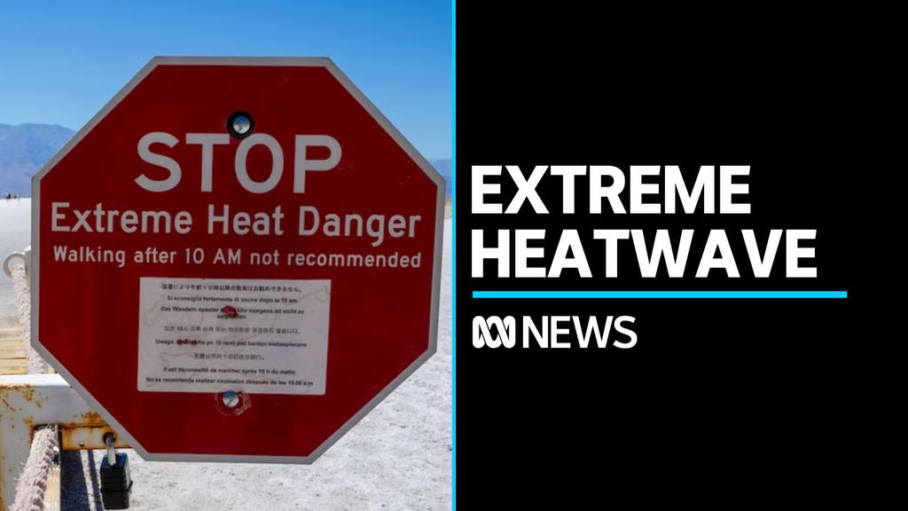 Footage shows the python swallowing a wallaby in far north Queensland ...