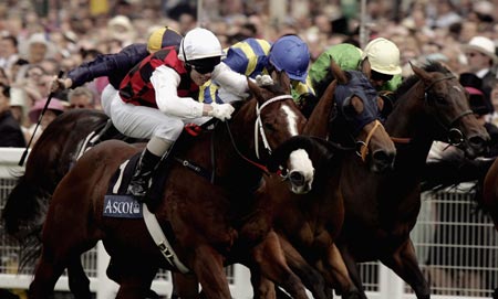 Champion sprinter Takeover Target is euthanised at age 15 after ...