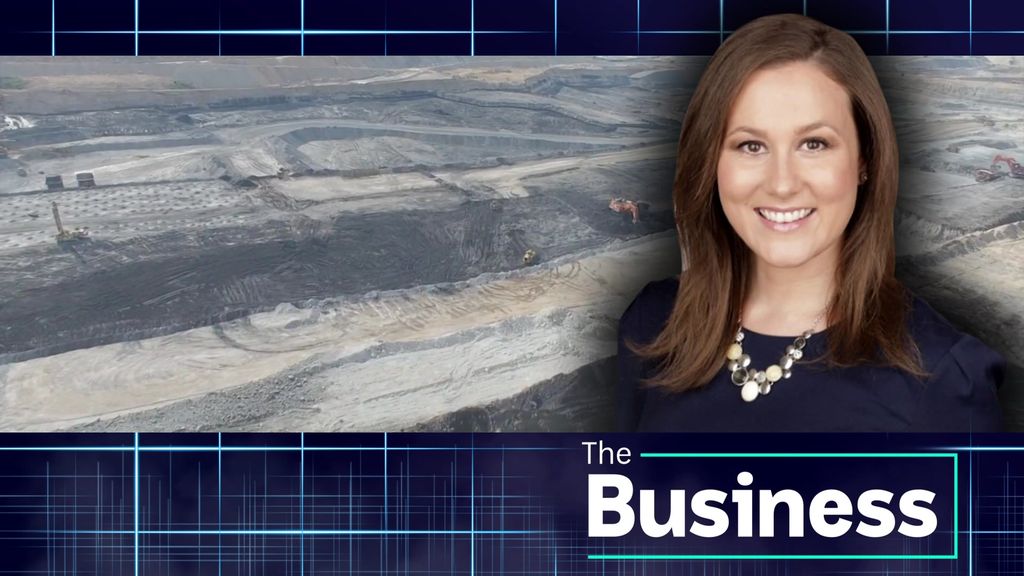 Whitehaven shareholders demanding action on the environment. - ABC News