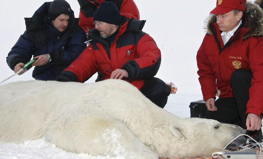 Polar Putin shows cuddly side - ABC News
