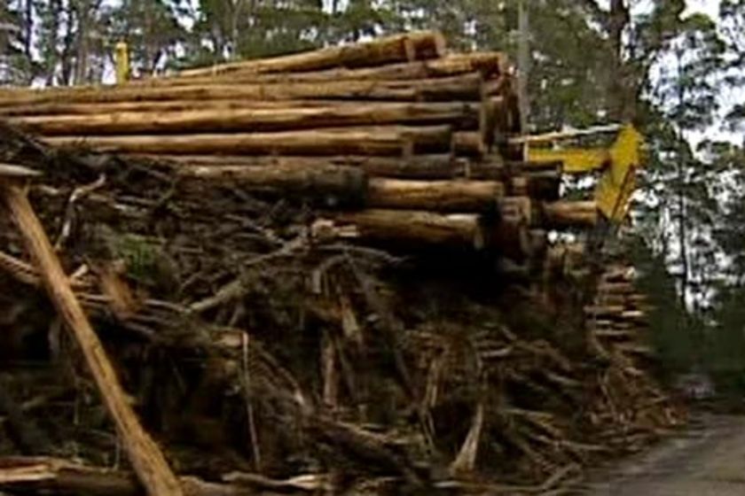 Greens condemn quick passage of pulp mill bill - ABC News