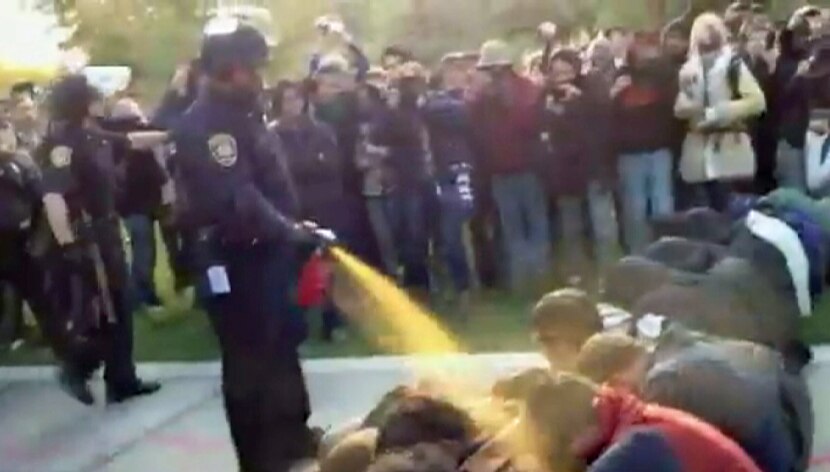 UC Davis sit-down protesters pepper-sprayed - ABC News