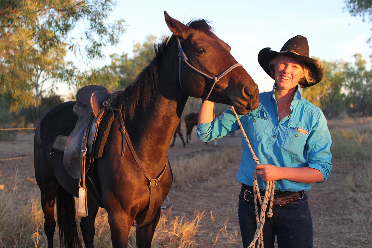 Outback horses still a ringer's best mate - ABC News